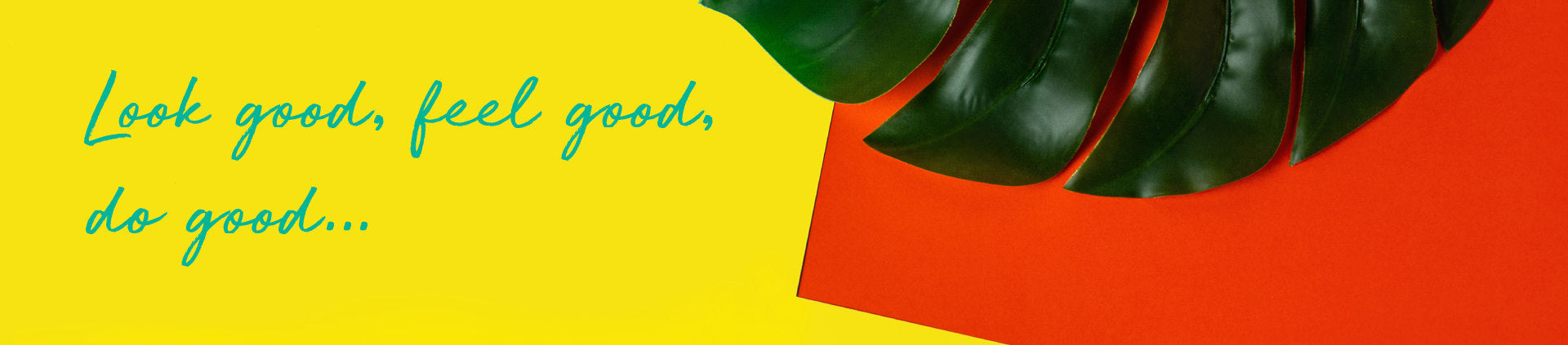 Look Good, Feel Good, Do Good – Dr Paw Paw